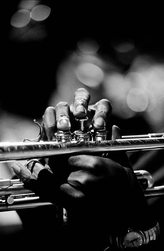 Miles Davis' Hands, Monterey Jazz Festival, Monterey, CA, 1963 | San ...