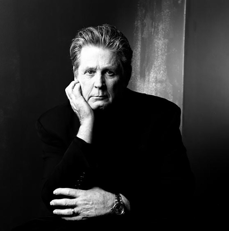Brian Wilson Portrait, 2003 | San Francisco Art Exchange